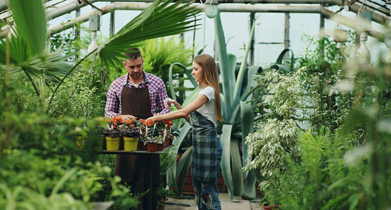 Cómo las pymes pueden liderar una Europa más verde, digital e inclusiva - PYME actual